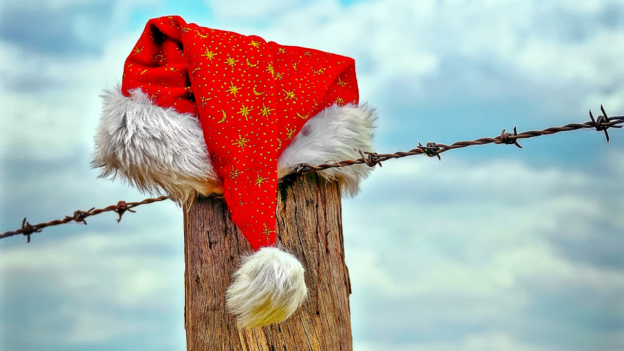 Enphase IQ Gateway (Envoy) Wi‑Fi Reconnect Guide — Enlighten App • PSW ...